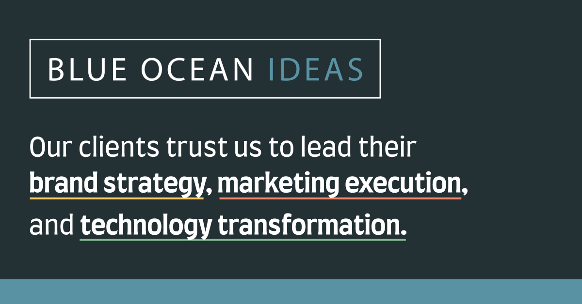 Our Skill Sets | Blue Ocean Ideas